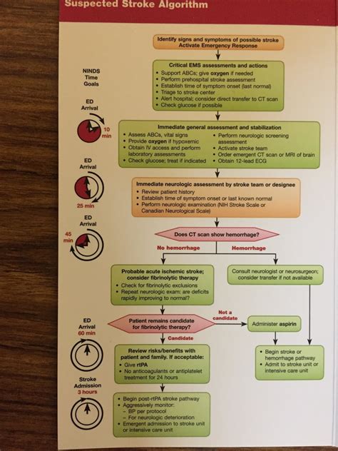 ACLS ADVANCED CARDIAC LIFE SUPPORT AT A GLANCE TAKE IT EASY WITH ALGORITHMS
