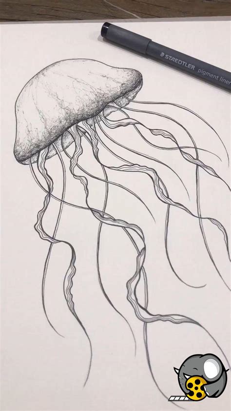 نقاشی عروس دریایی فیلو