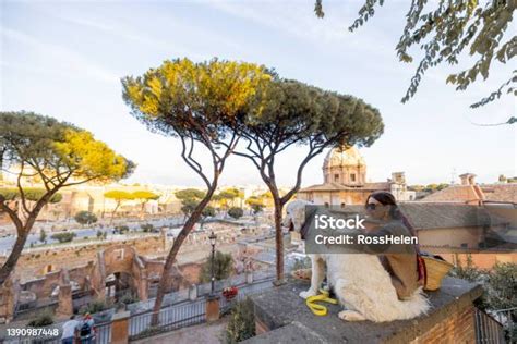 로마의 오래된 중심지에서 위에서 아름다운 경치를 즐기는 여성과 개 개에 대한 스톡 사진 및 기타 이미지 개 로마 이탈리아 건축 Istock