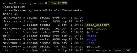 Cómo borrar el historial de la terminal o consola en Linux Vozidea