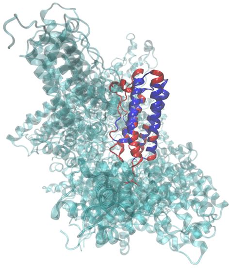 Investigation of the pH-dependent aggregation mechanisms of GCSF using low resolution protein ...