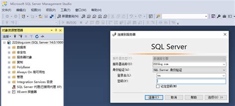 SQL Server教程 SSMSSQL Server Management System 重庆熊猫 博客园