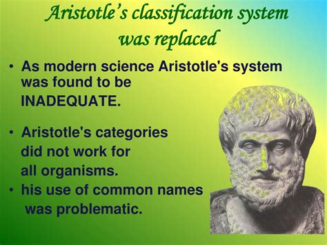 Aristotle System Of Classification At Victoria Thomason Blog Aristotle System Of Classification At Victoria Thomason Blog