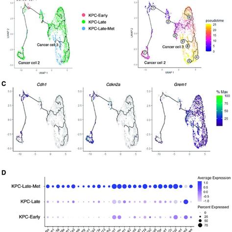 Single Cell Rna Sequencing Scrna Seq Analysis Identifies Distinct