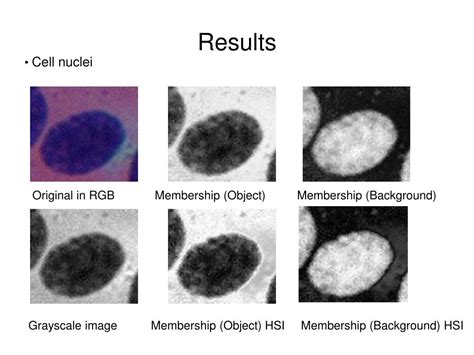 Ppt Fuzzy Sets And Fuzzy Techniques Project Fuzzy Color Image Segmentation Powerpoint