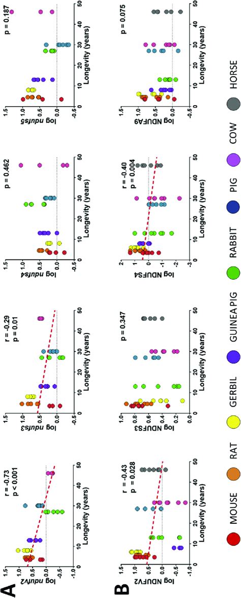 Cx I Gene Expression A And Protein Content B Are Linearly
