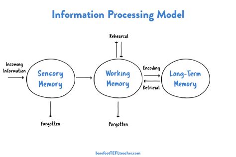 What Is Cognitive Load Theory By David Weller