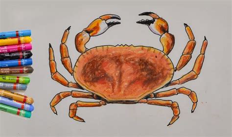 How To Draw A Crab Step By Step Entertainment For All