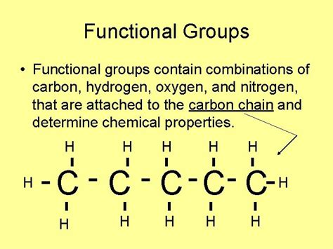 Organic Chemistry In A Nutshell Important Elements Carbon
