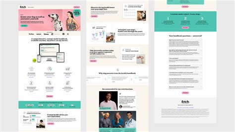 Fetch Web Design — Max Gaines Creative
