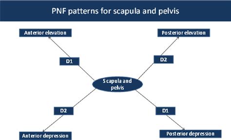 PNF In Acute Stroke Semantic Scholar