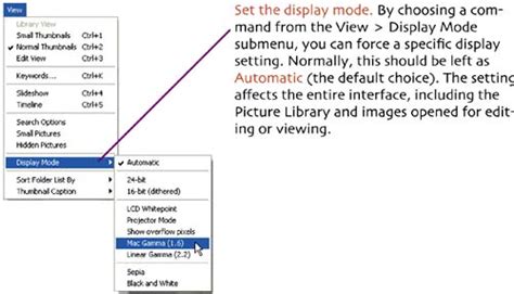 Set Display Options Visual Quickproject Guide Organizing And Editing