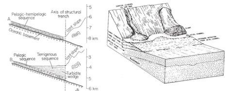 4 Left Diagrammatic Structural Stratigraphic Cross Sections Of Typical
