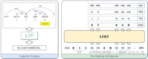 中文预训练模型！ 哈工大 andand 科大讯飞 提出多任务预训练模型lert（含源码） 知乎