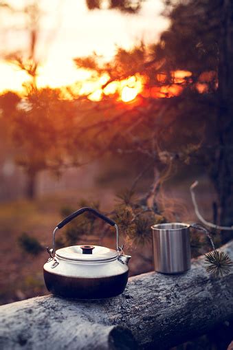 숲에서 차 커피를 양조 나무 줄기에 흐리게 찻잔에 초점 주전자 배경 태양 섬광 흐리게 0명에 대한 스톡 사진 및 기타 이미지 Istock