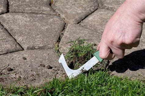 Removing Grass In Paving Slabs On The Street A Tool For Removing The Root System Of Plants