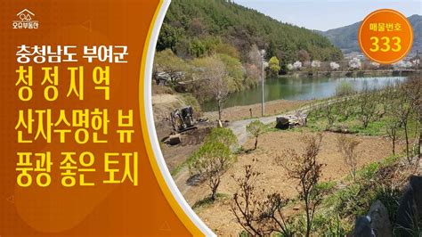 충남 부여군 귀농귀촌 오슈부동산 시골촌땅 전답임야농지 토지 매매 Youtube