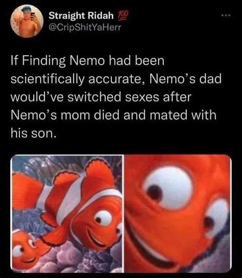 If Finding Nemo Had Been Scientifically Accurate Nemos Dad Wouldve