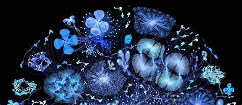 Matrix Multiplication Towards Data Science