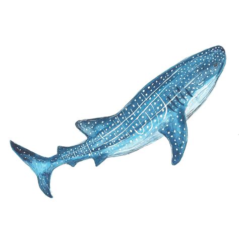 Blue Whale With White Dots