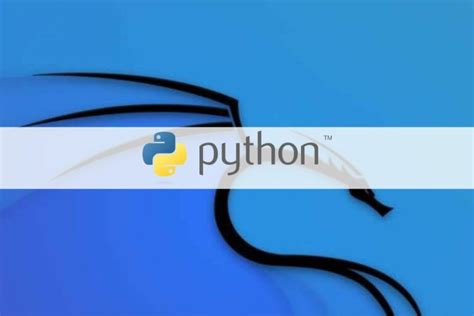 python on kali linux a beginner s guide to get started infosecscout