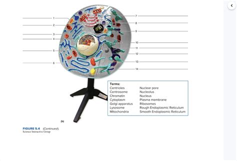 Solved Science Interactive Group