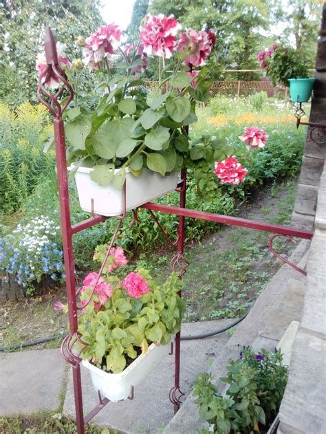 Pink and White Flower Rack