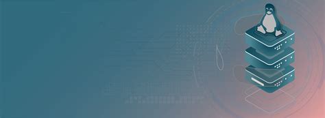 Linux Hosting UK Cheap CPanel Web Hosting The Email Shop