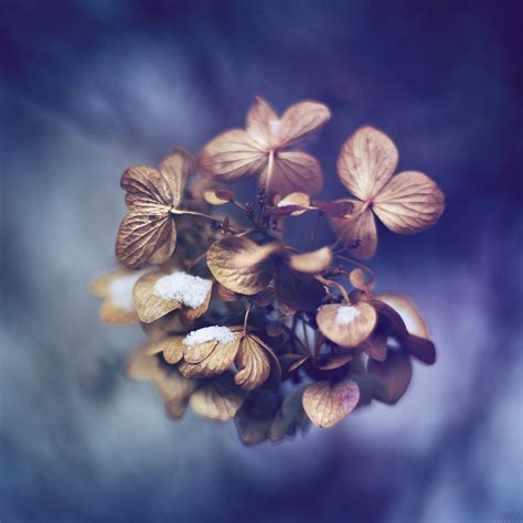 Sliding Window Visualizer Using Html Css And Javascript Never Open