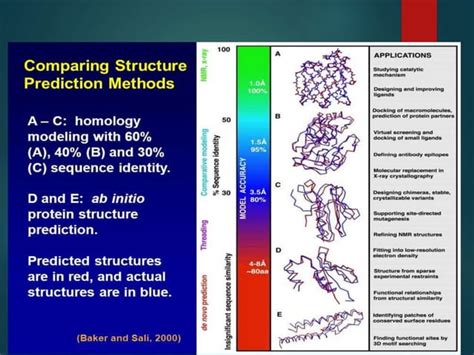 In Silico Structure Prediction Pptx