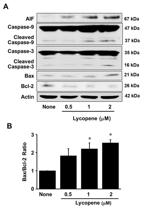 Lycopene Increases Apoptotic Indices Apoptosis Inducing Factor Aif Download Scientific