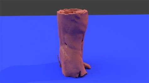 Muscle Scan Stl File Processed Democratiz3d® Processing