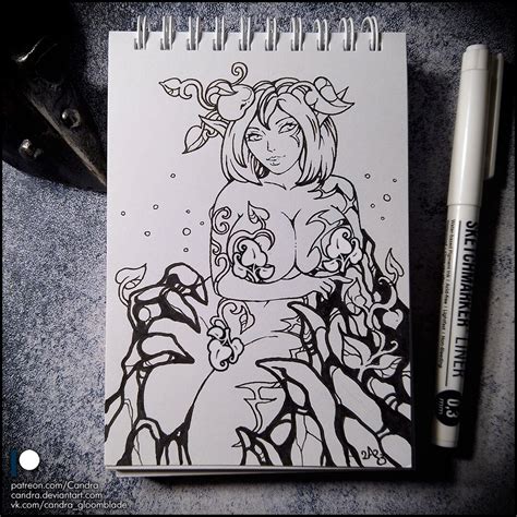 Artstation Sketchbook Gnome Sfw