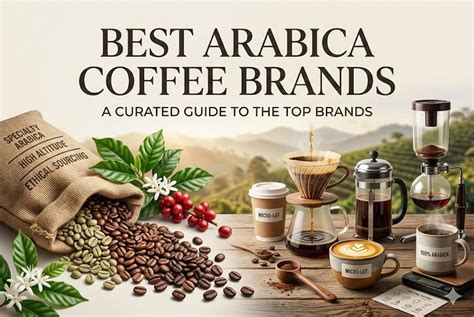 10 Best Arabica Coffee Brands Of 2026 Best Brands Hq