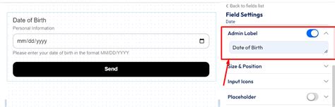 Date Field Setup In Bit Form Bit Form