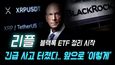 리플코인 Xrp 블랙록 Etf 정리 시작 긴급 사고 터졌다 앞으로 이렇게 됩니다 Youtube