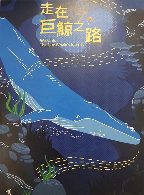 近距離賞鯨！海生館限定特展帶你探索鯨豚奧秘 好房網news
