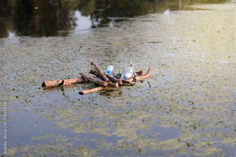 Object Detect Of Floating Garbages Object Detection Dataset And Pre
