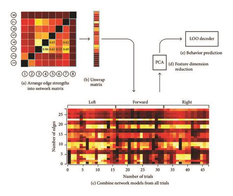 Flowchart Illustrating Neural Functional Network Decoding First The