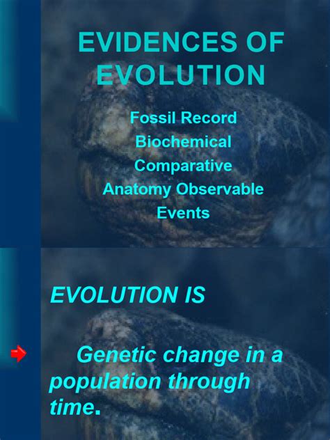 Evidencesofevolution 120207073412 Phpapp02 240227074449 Cfeb016b Pdf