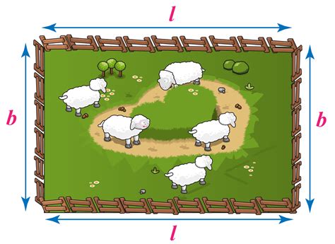 Perimeter Of A Rectangle Cuemath