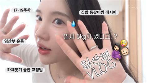 임산부vlog👶🏻 17~19주차 일상모음zip 순산을 위한 골반스트레칭법🤰🏻먹덧을 부르는 등갈비찜 레시피🍖집 꾸미고 청소하는