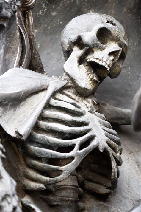 Nikon Z 24 120mm F4 S Review Cameralabs