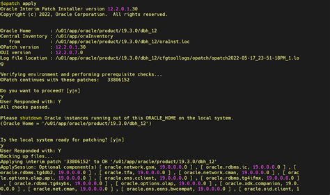 Step By Step Applying Psu Patch In Oracle 12c For Single Instance