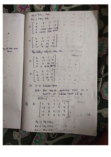 SOLUTION Echelon Form Studypool