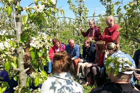 Bloesemweekend Met Rondleiding Fruittuin Van West