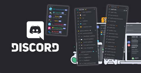 Set Up Your Discord Server By Mrnaspo Fiverr