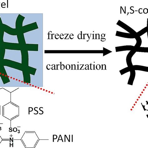 Schematic Illustration Of The Synthesis Of Hierarchically Porous N