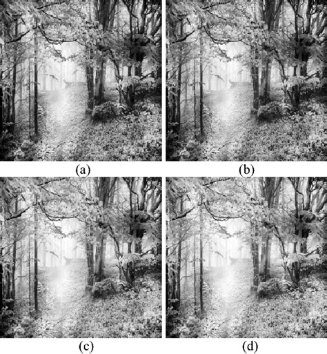 figure 9 from image enhancement by histogram specification using