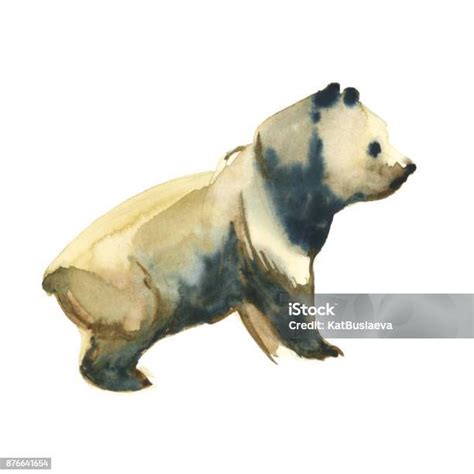 수채화 그림 흰색 배경에 고립입니다 갈색 아기 곰 팬더 서 0명에 대한 스톡 벡터 아트 및 기타 이미지 0명 갈색 곰 Istock